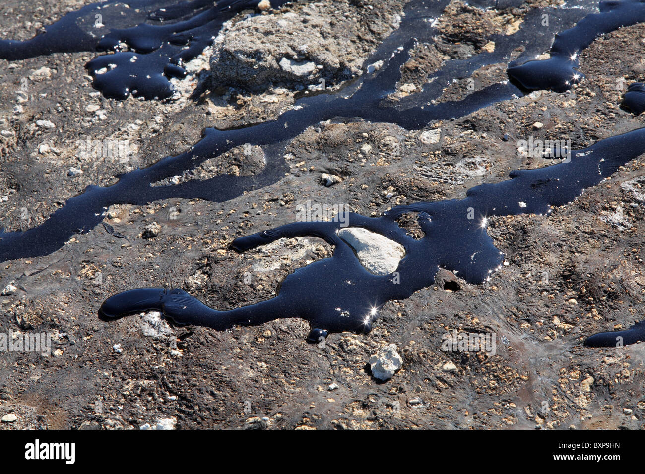 close-up of oil spill oozing over dirt on beach Stock Photo - Alamy