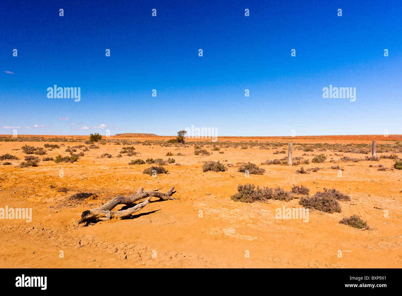 Flat track hi-res stock photography and images - Alamy