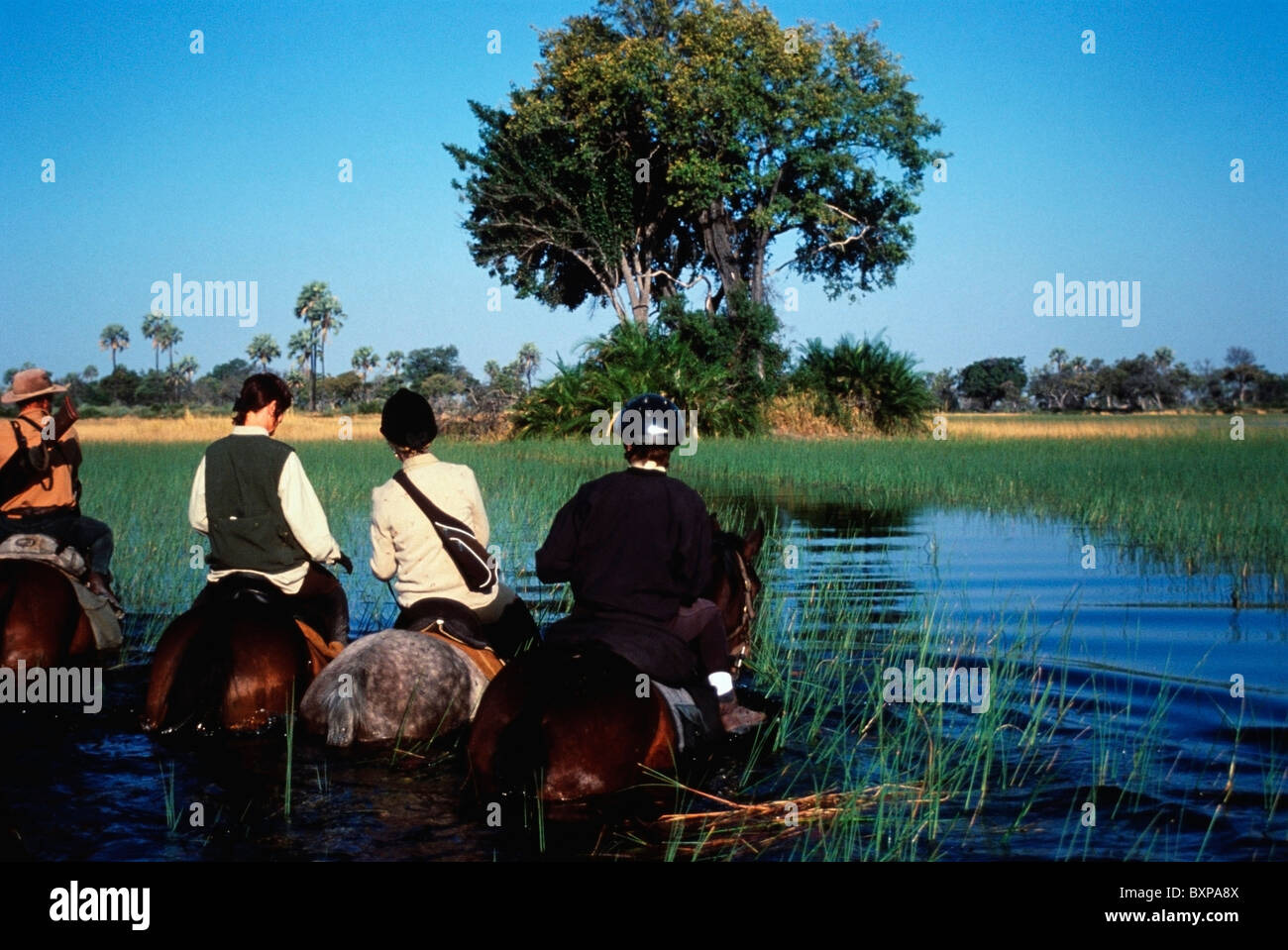 Riding On Horseback Through Water Channel Stock Photo - Alamy