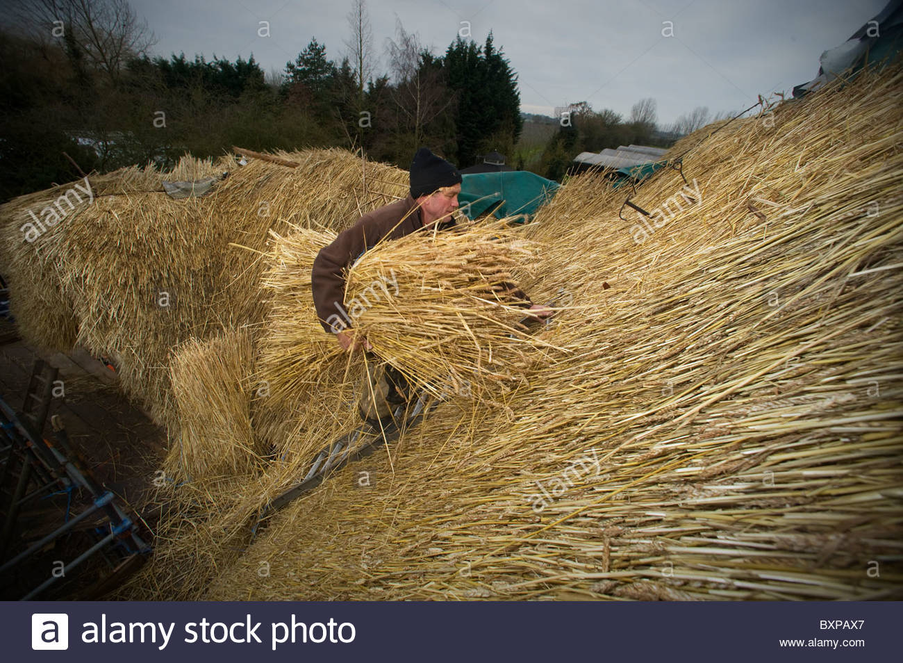 Thatching Stock Photos & Thatching Stock Images - Alamy