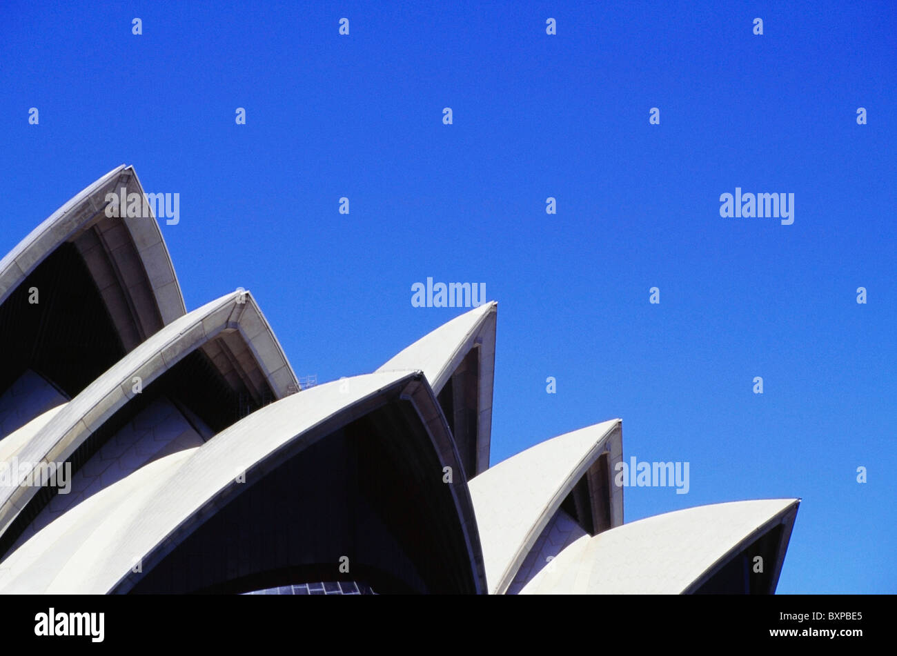 Sydney Opera House, Close-Up Stock Photo - Alamy