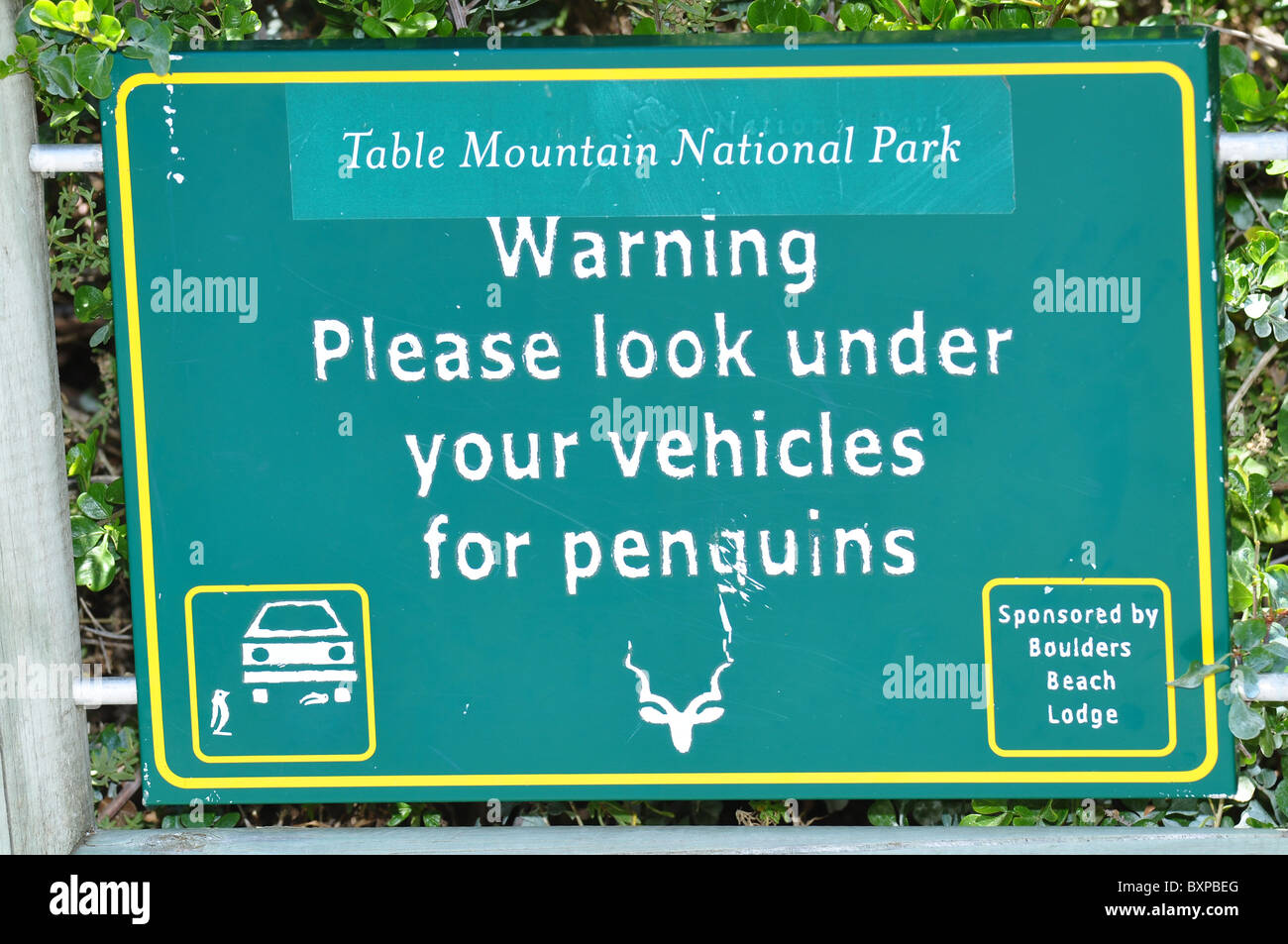 Watch for danger hi-res stock photography and images - Alamy