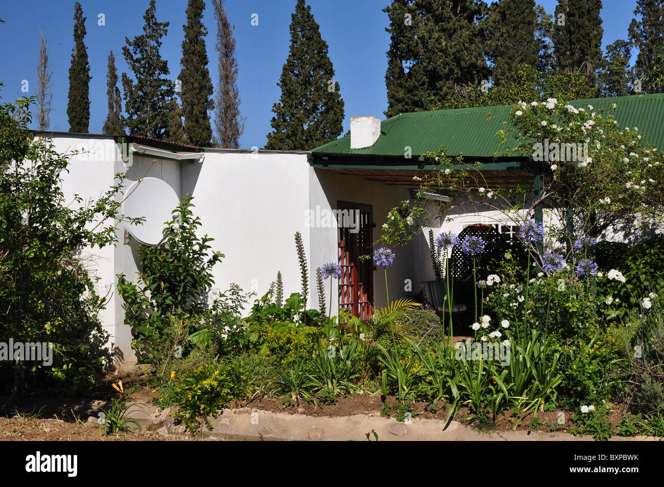 Beautiful trees in a tropical garden Stock Photo - Alamy