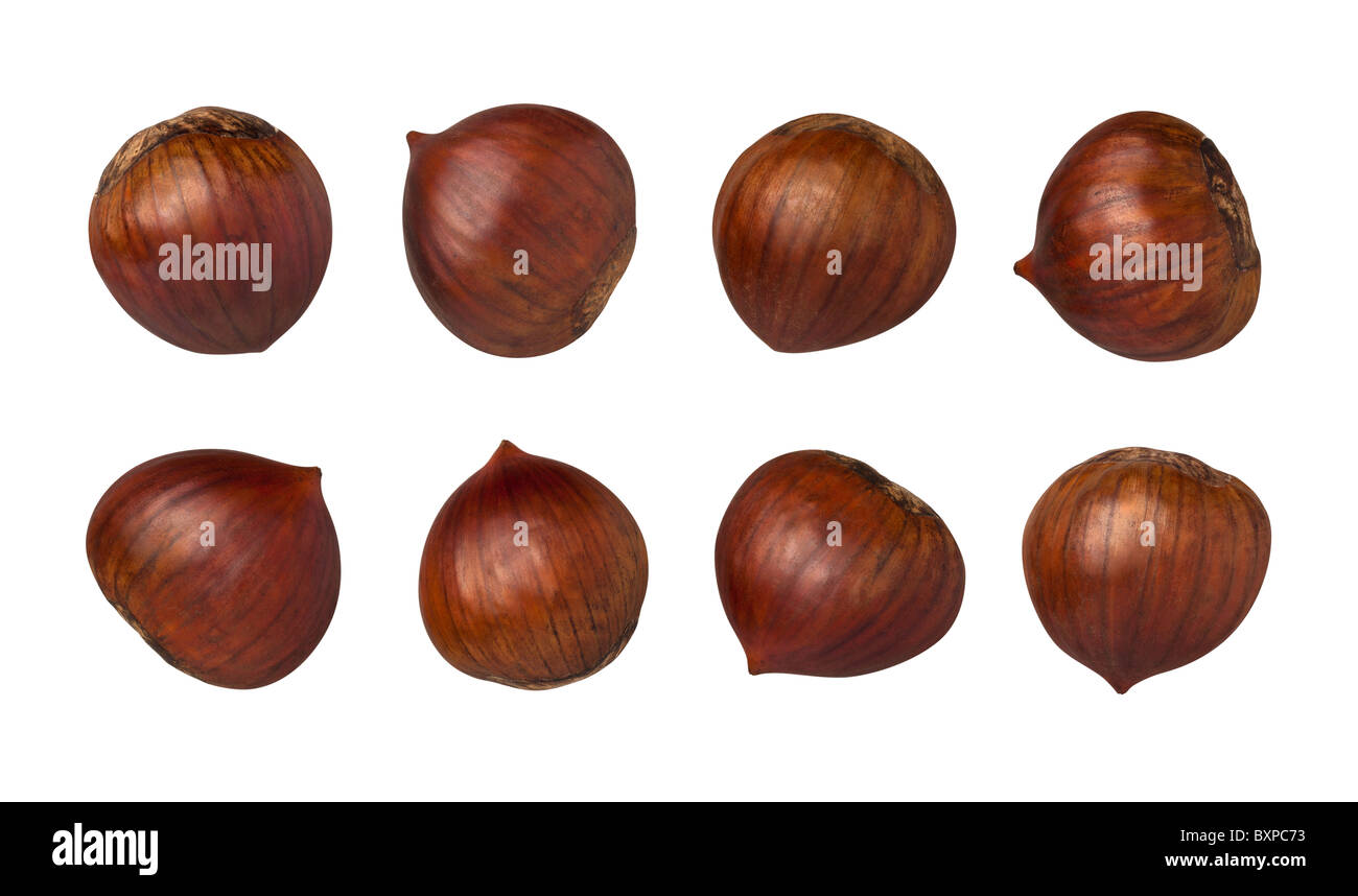 Chestnuts Isolated on a white background Stock Photo - Alamy
