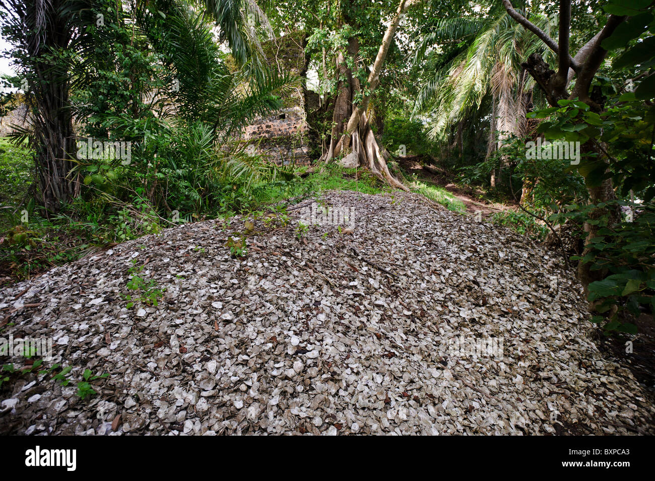 Bance Island High Resolution Stock Photography and Images - Alamy