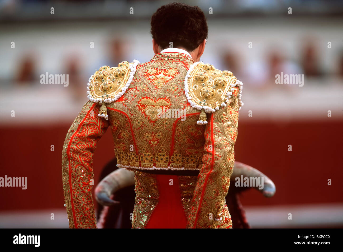 Bullfighting in the arena. The colors and the lights of the fight ...