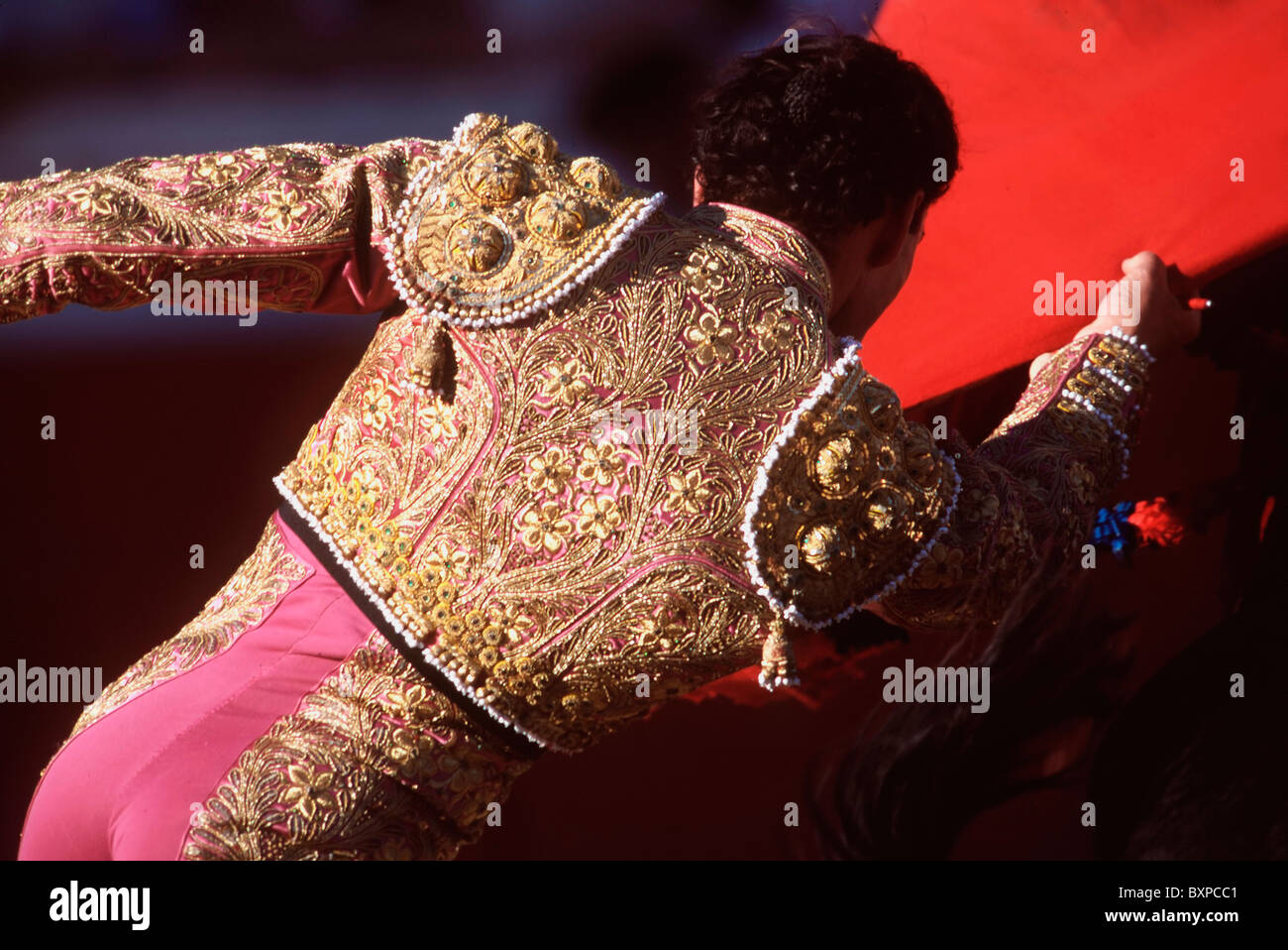 Bullfighting in the arena. The colors and the lights of the fight ...