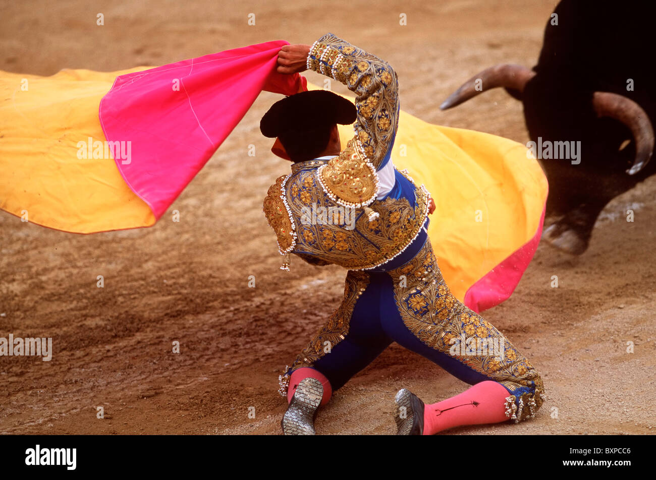 Bullfighting in the arena. The colors and the lights of the fight ...