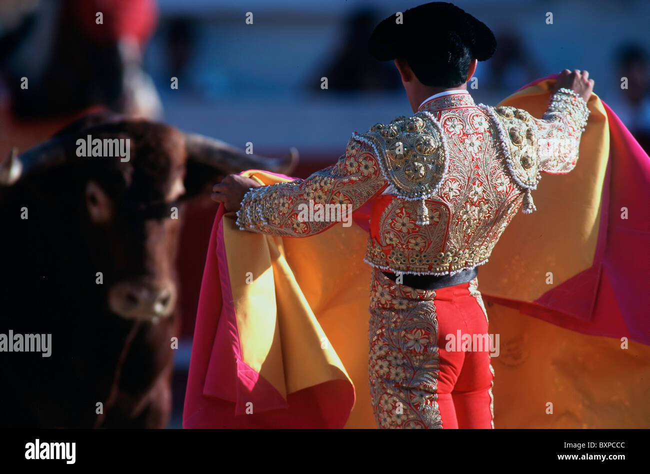 Bullfighting in the arena. The colors and the lights of the fight ...