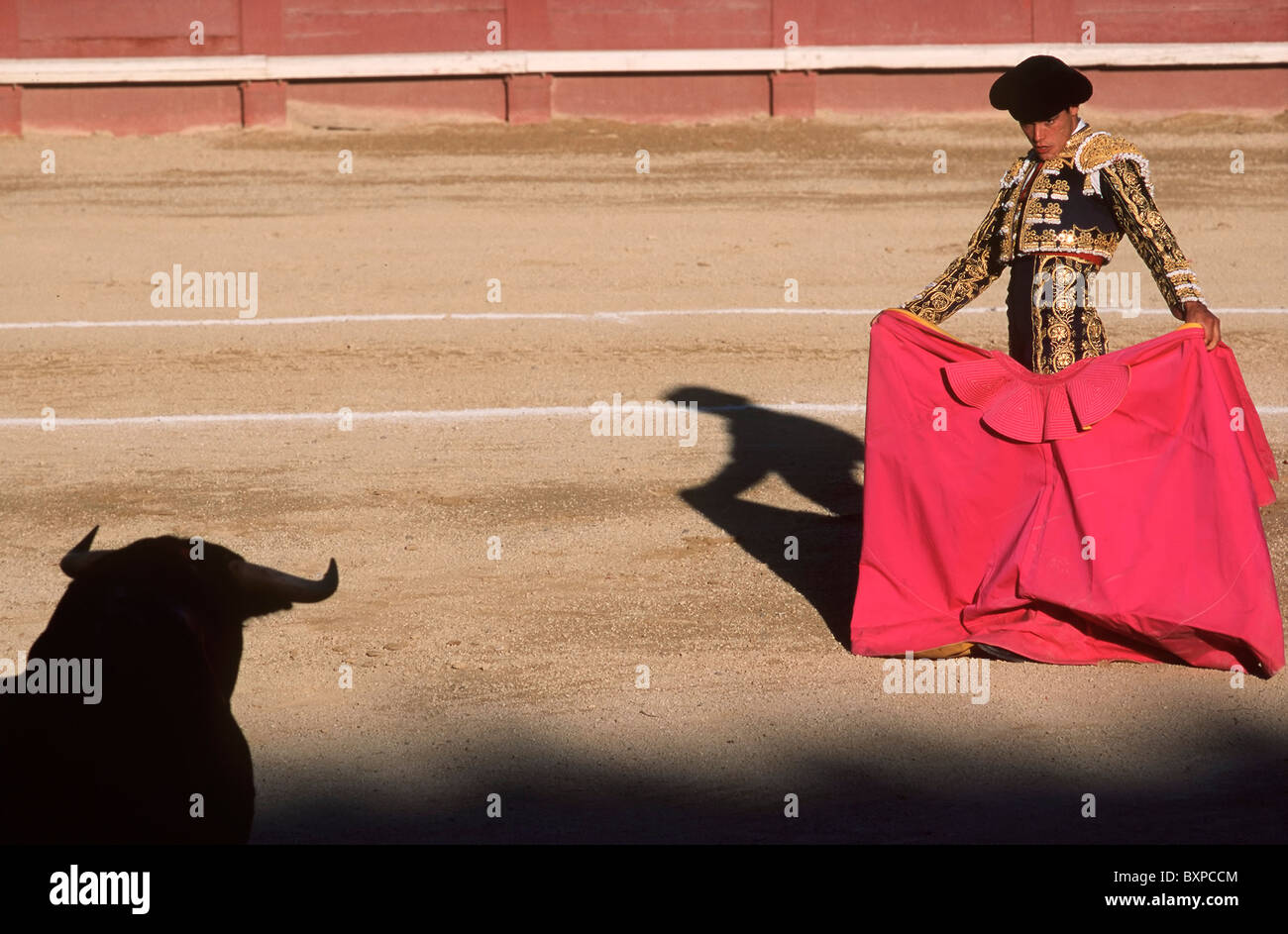 Bullfighting in the arena. The colors and the lights of the fight ...