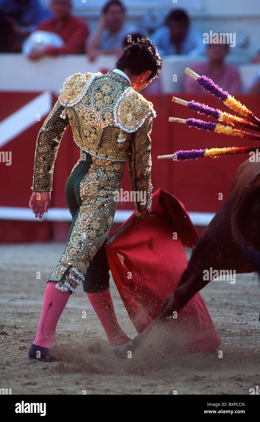 Bullfighting in the arena. The colors and the lights of the fight ...
