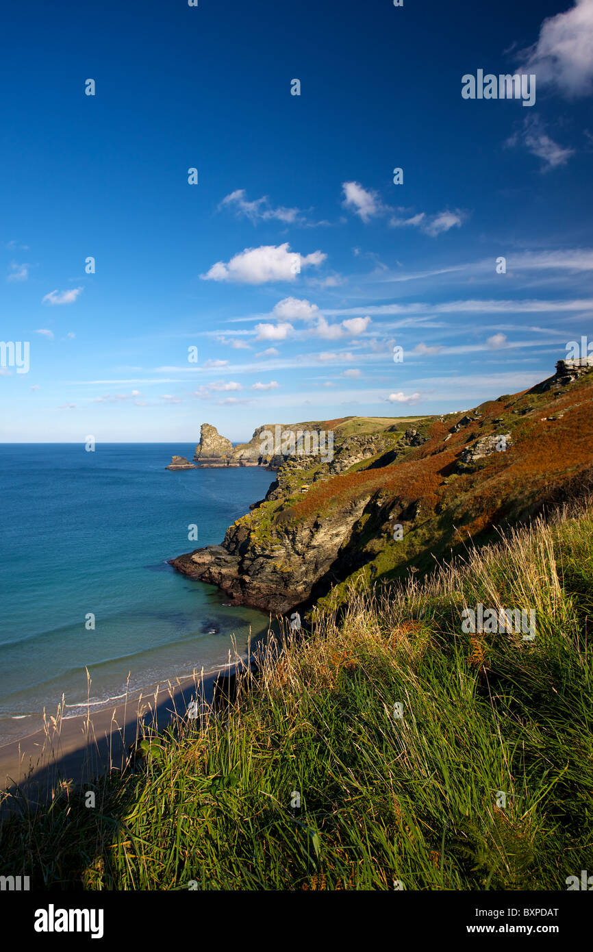 Bossiney Haven, Cornwall Stock Photo - Alamy