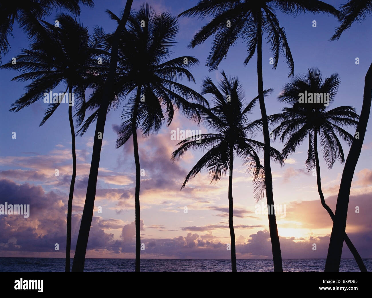 Dawn Over Bottom Bay Beach Stock Photo - Alamy