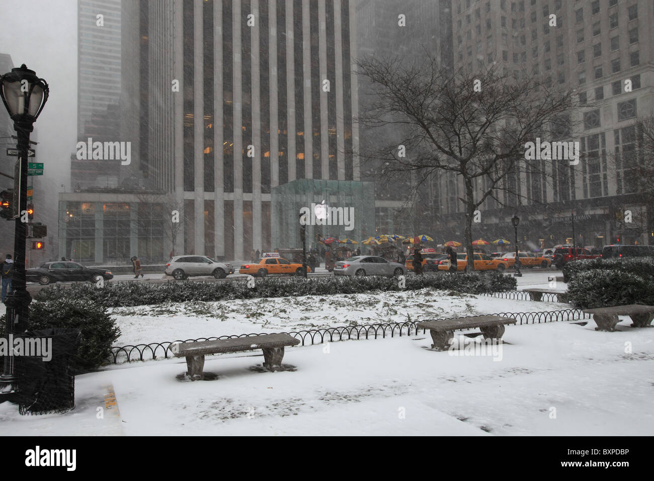 Fifth ave in New York city in the harsh blizzard that came down in ...
