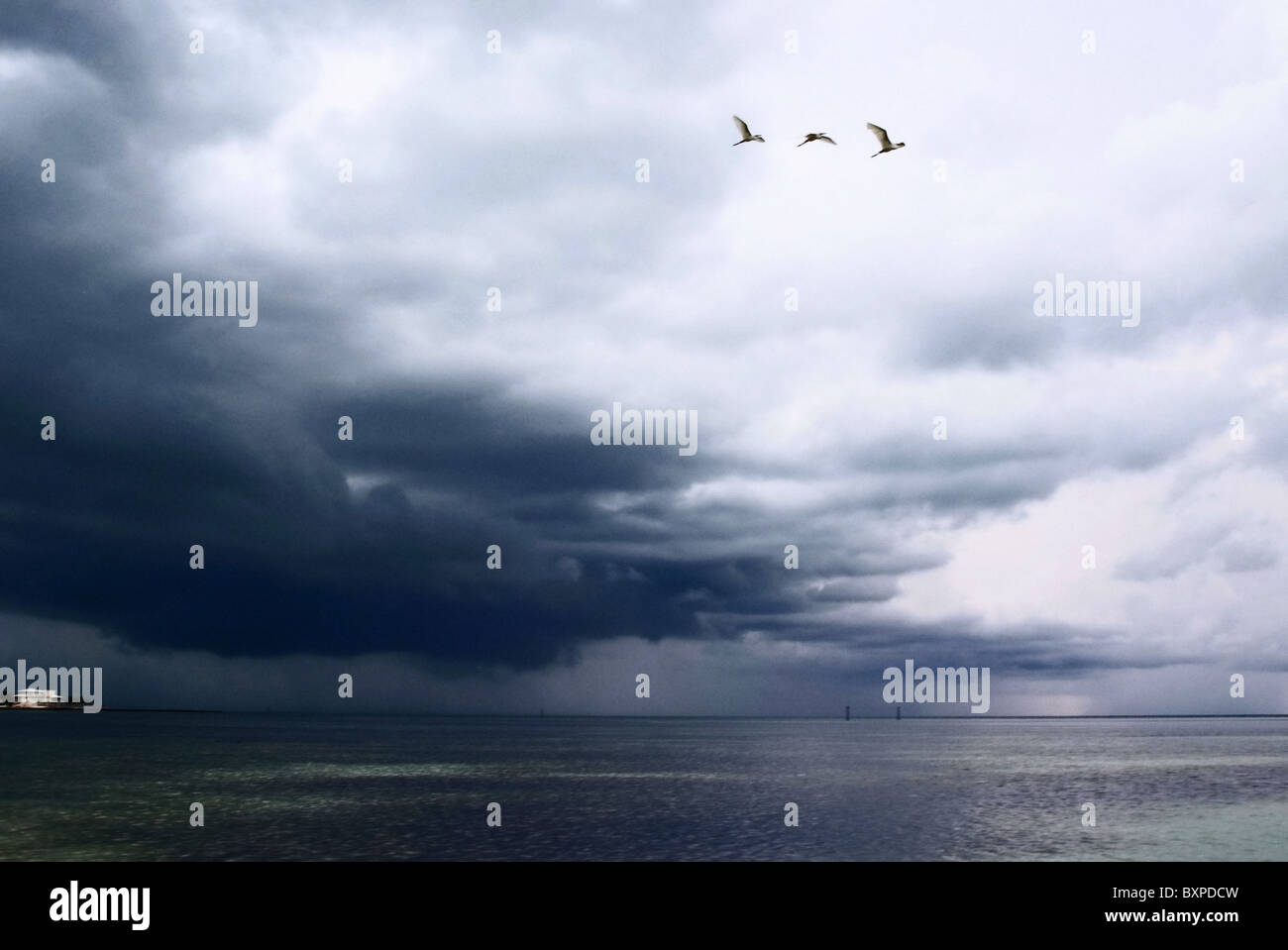 Avoiding the storm Stock Photo - Alamy