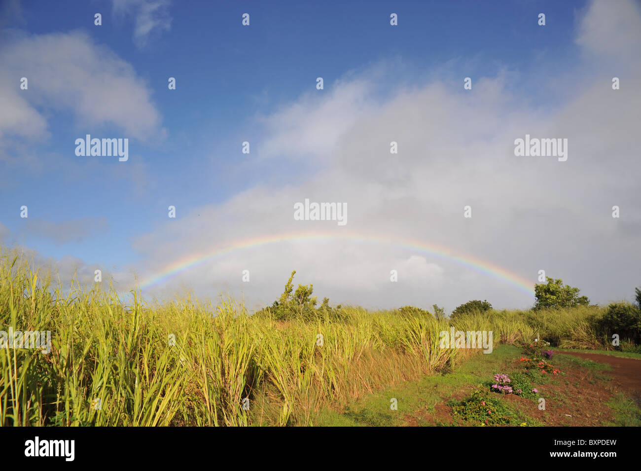 Somewhere over the rainbow Stock Photo - Alamy