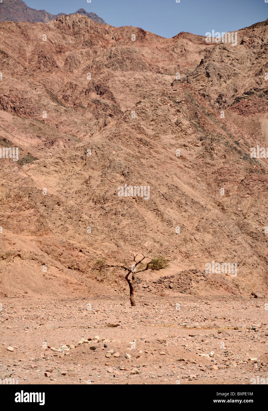 Egyptian arid land hi-res stock photography and images - Alamy