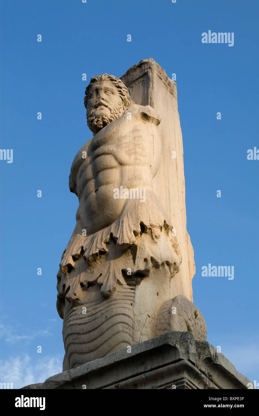 Giant triton hi-res stock photography and images - Alamy
