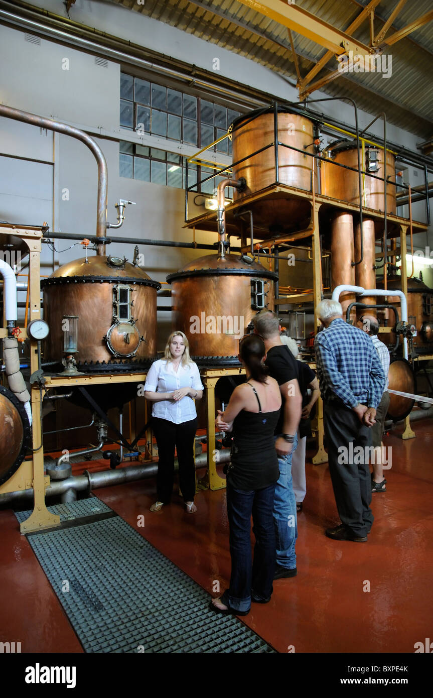 Brandy cellar stellenbosch hi-res stock photography and images - Alamy