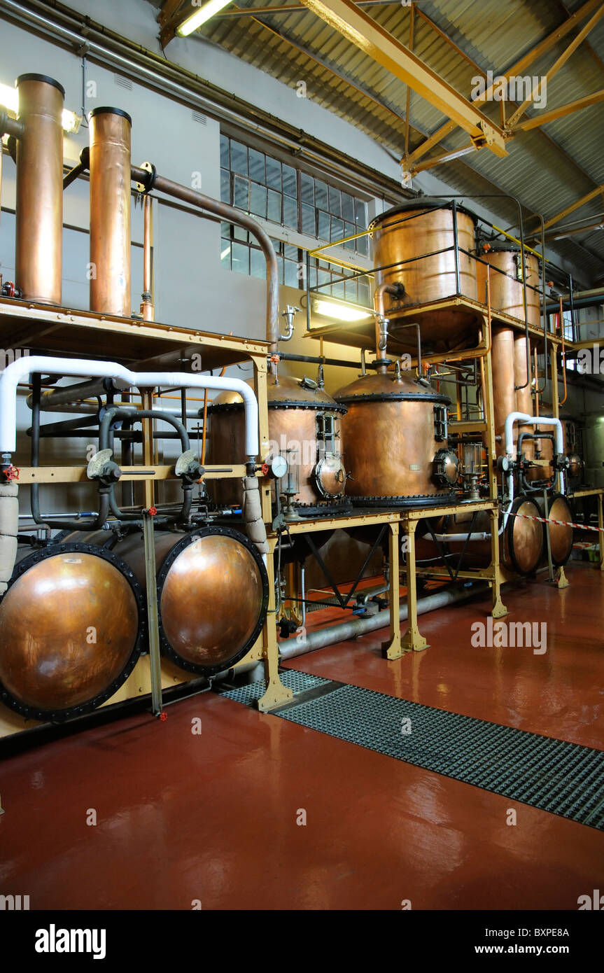 Ryan ryans hi-res stock photography and images - Alamy