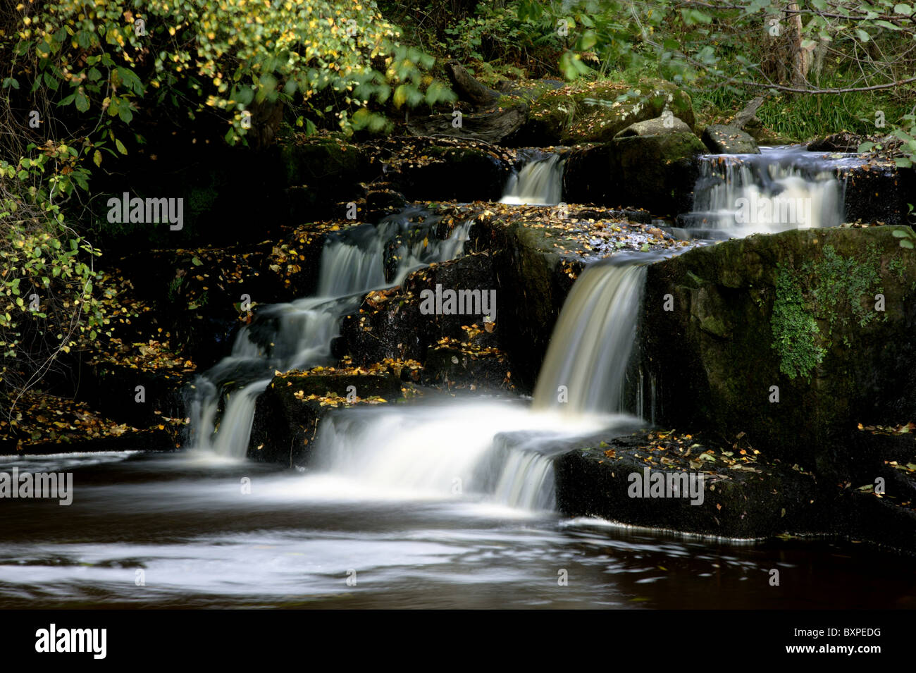 Hareshaw burn bellingham northumberland national park Stock Photo - Alamy