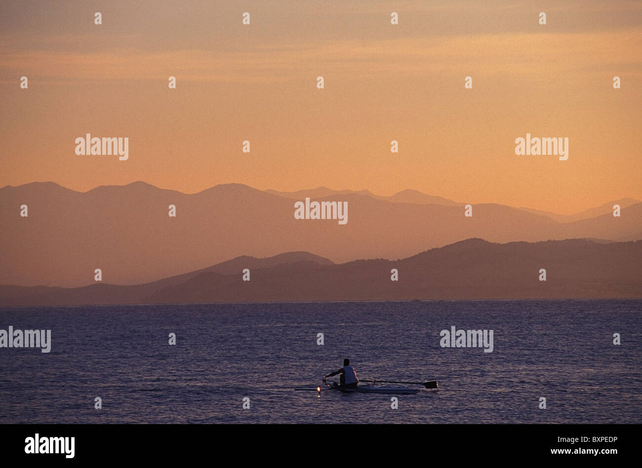 Rowing Early Morning In The Bay Stock Photo - Alamy