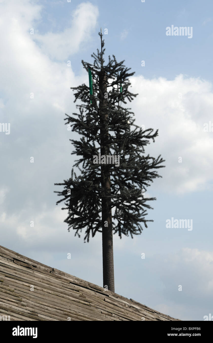 Disguised as tree hi-res stock photography and images - Alamy