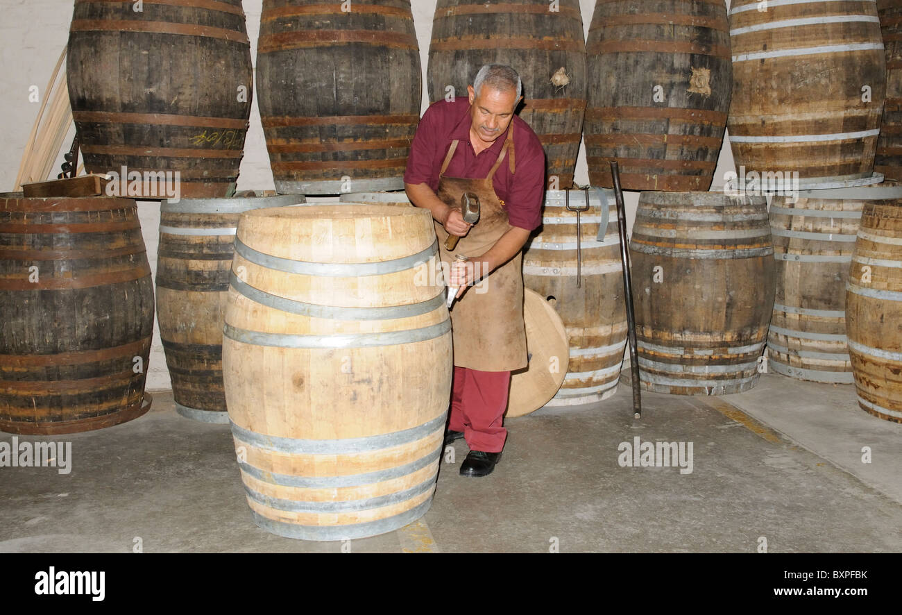 Van Ryan's Brandy Distillery in the Vlottenburg Valley near ...