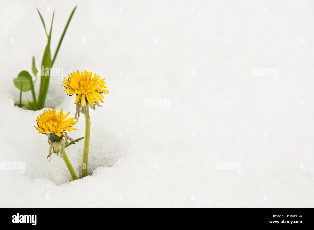 Push through hi-res stock photography and images - Alamy