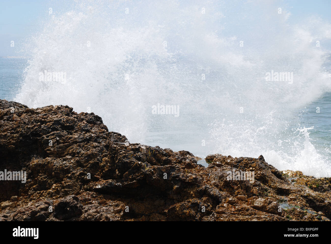 Summerstrand Beach High Resolution Stock Photography and Images - Alamy