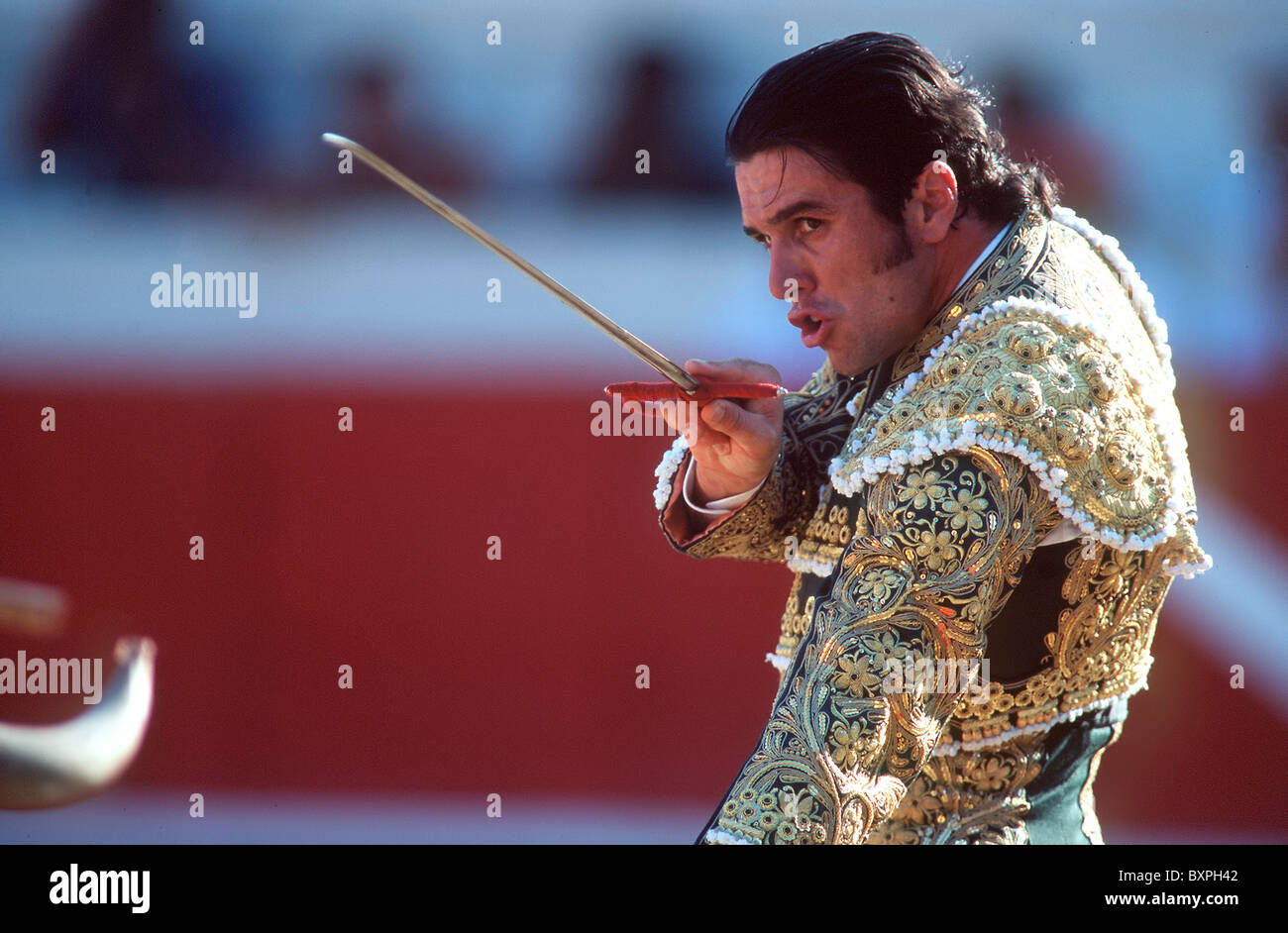 Bullfighting in the arena. The colors and the lights of the fight ...