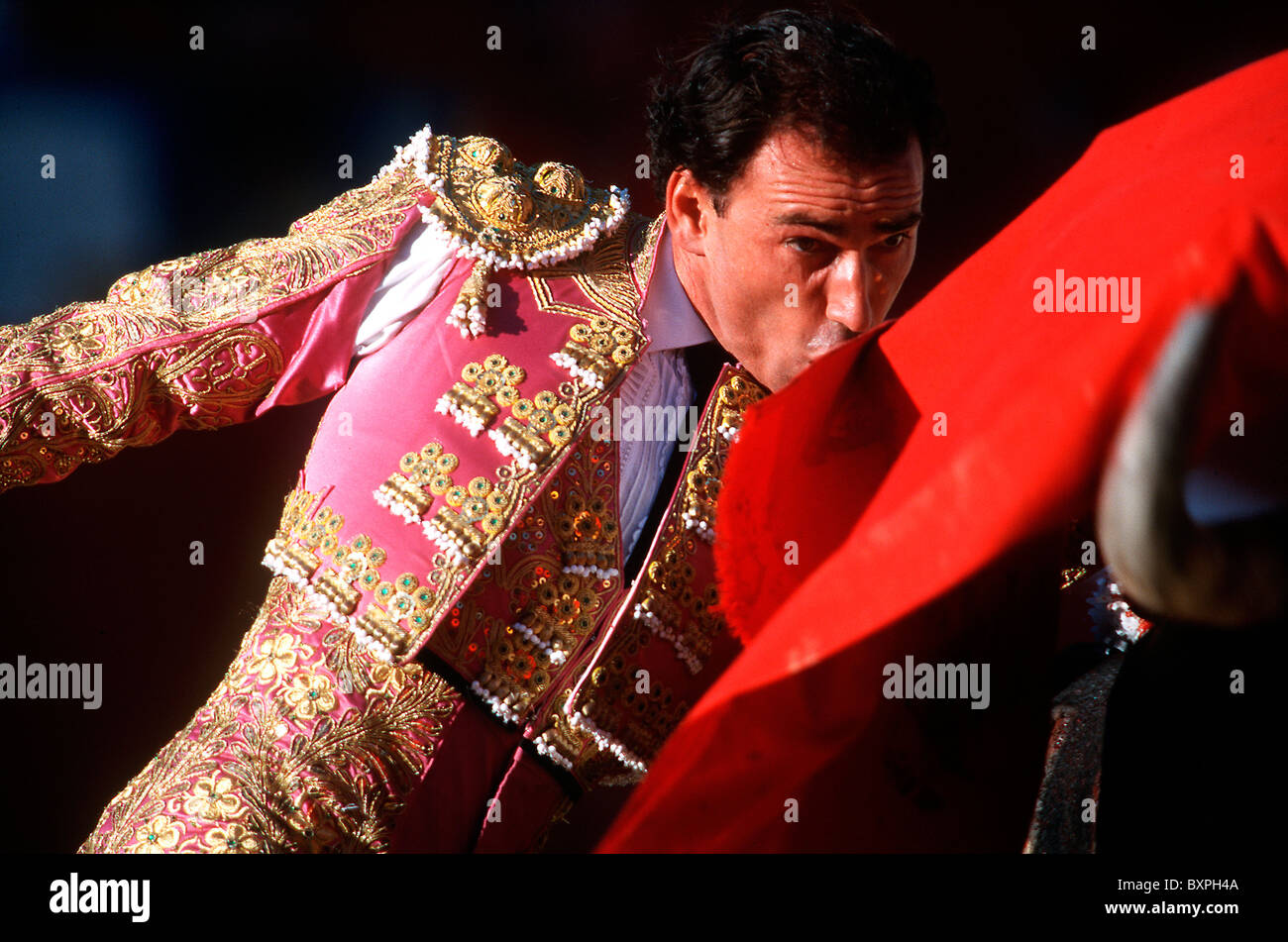Bullfighting in the arena. The colors and the lights of the fight ...