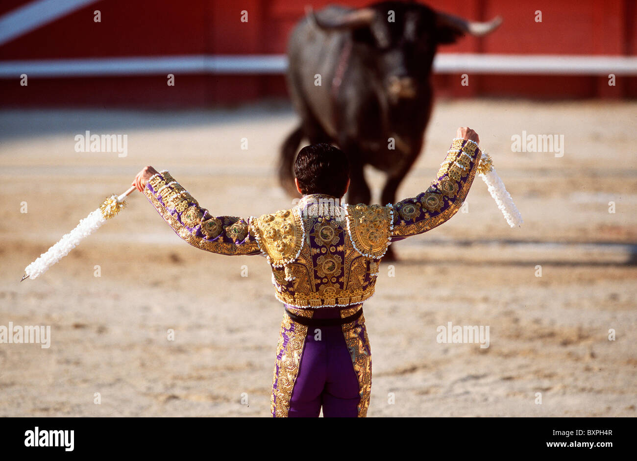 Bullfighting in the arena. The colors and the lights of the fight ...