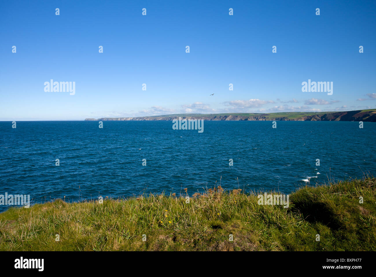 Port Quin, Cornwall Stock Photo - Alamy