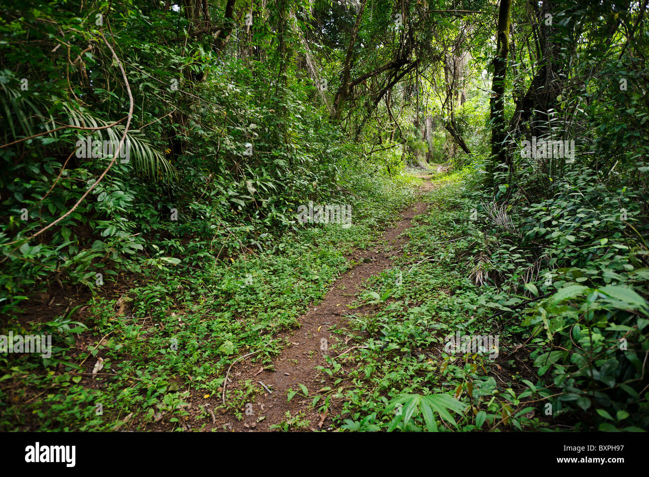 Bance island hi-res stock photography and images - Alamy