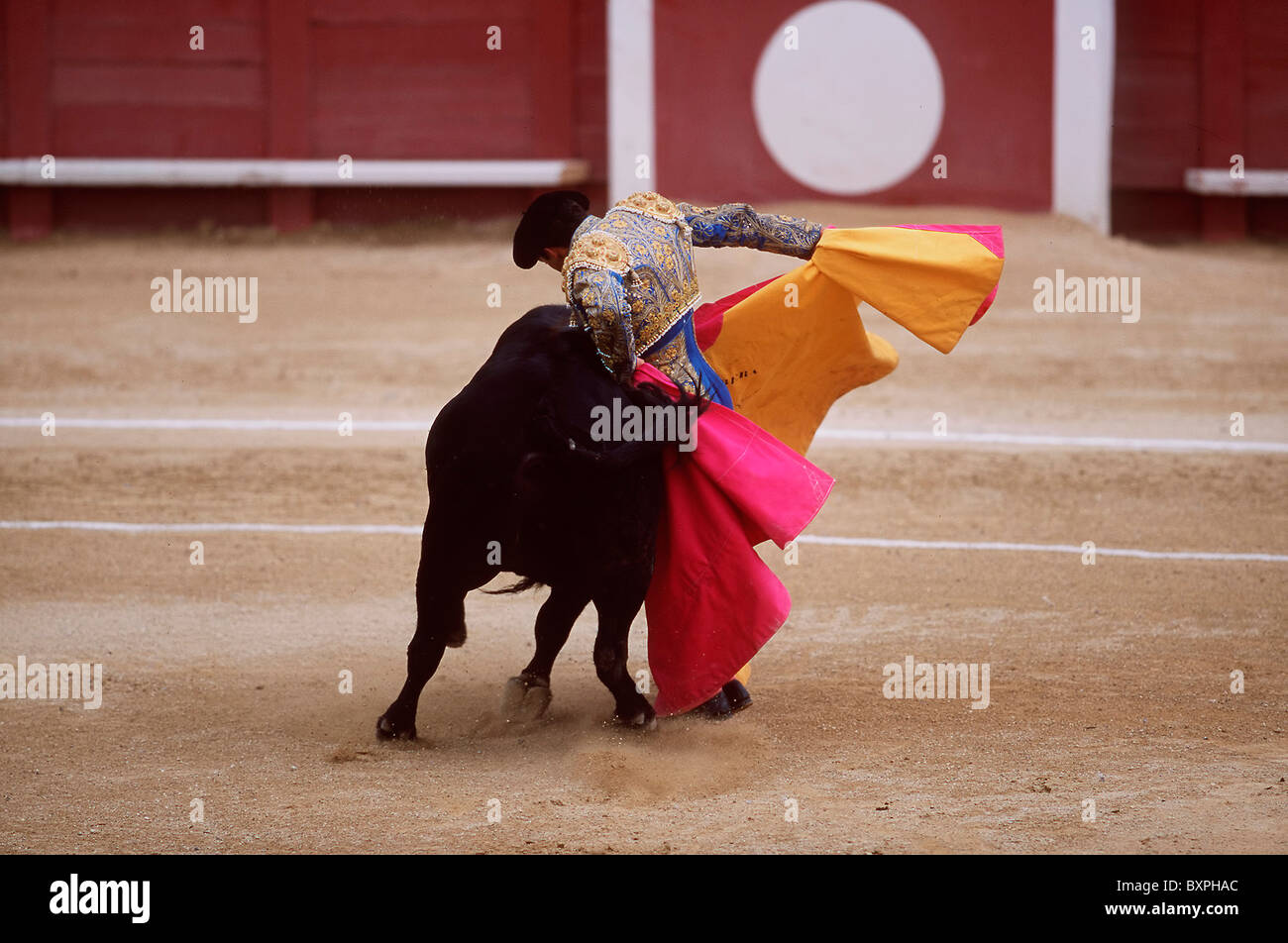 Bullfighting in the arena. The colors and the lights of the fight ...