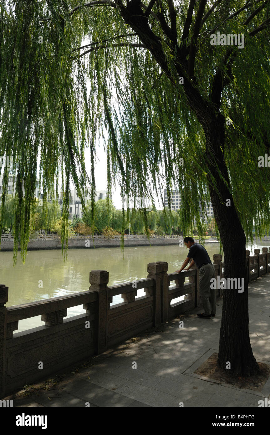 One chinese man reading under tree hi-res stock photography and images ...