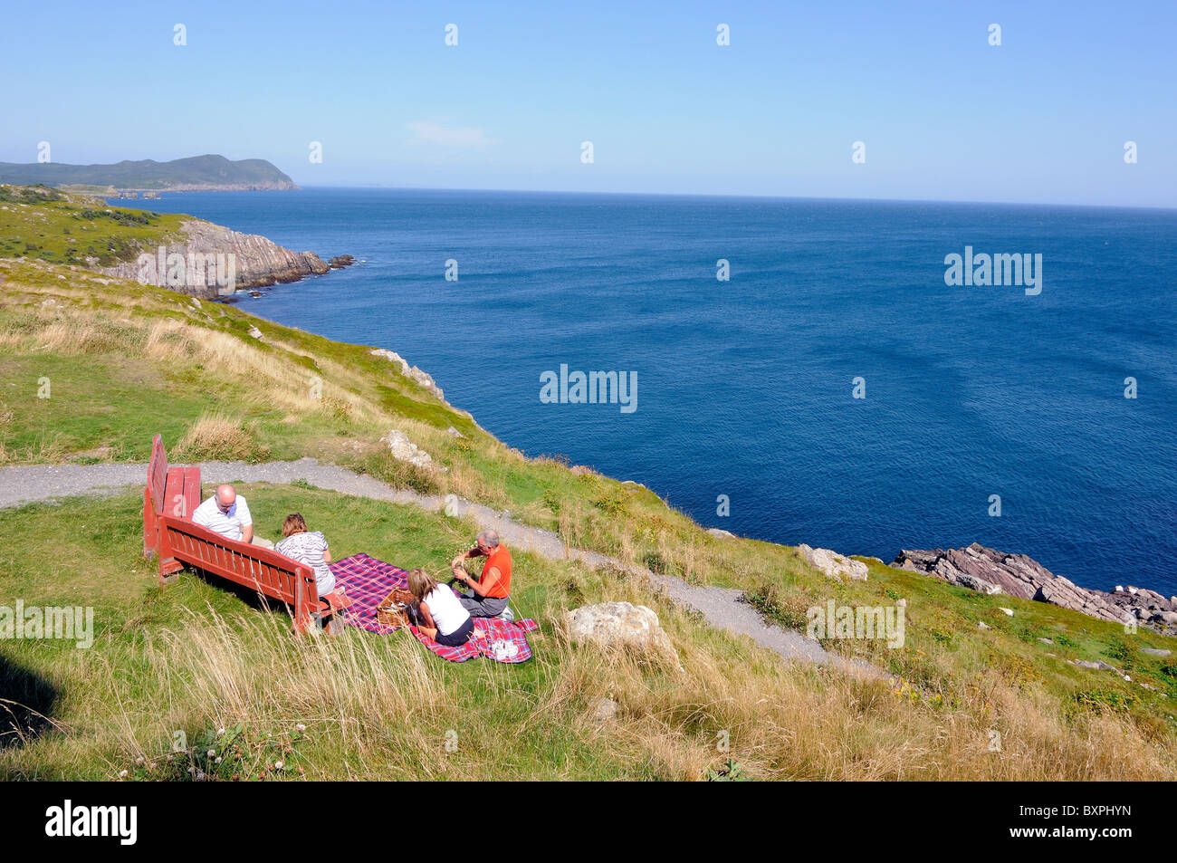 Picnickers At The Famous Lighthouse Picnics, Ferryland Newfoundland ...
