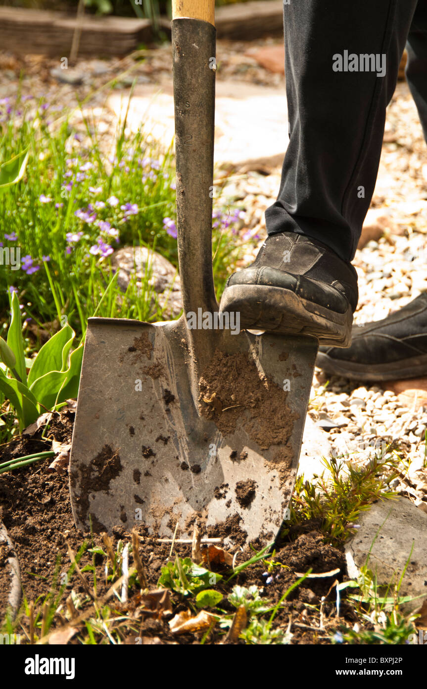 Performing yardwork and gardening activities Stock Photo - Alamy