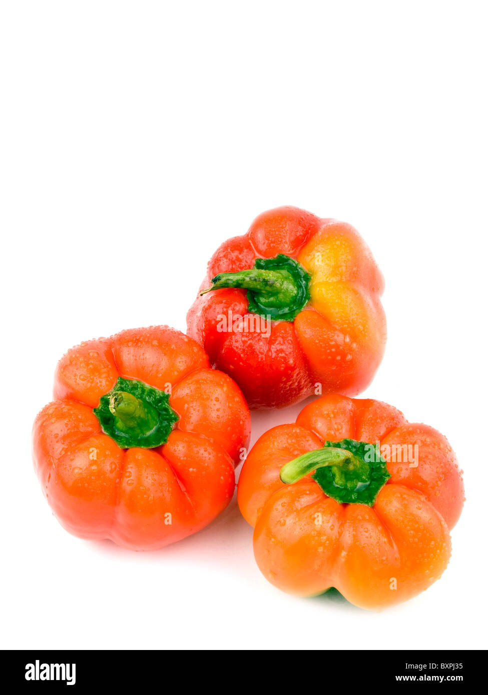 Tasty orange paprika on white background Stock Photo - Alamy