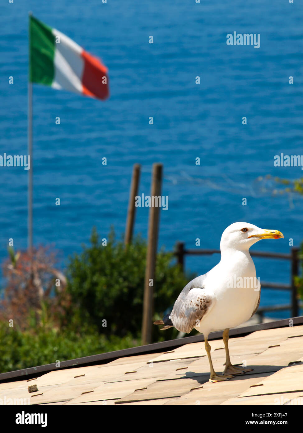 Flying wild birds hi-res stock photography and images - Alamy