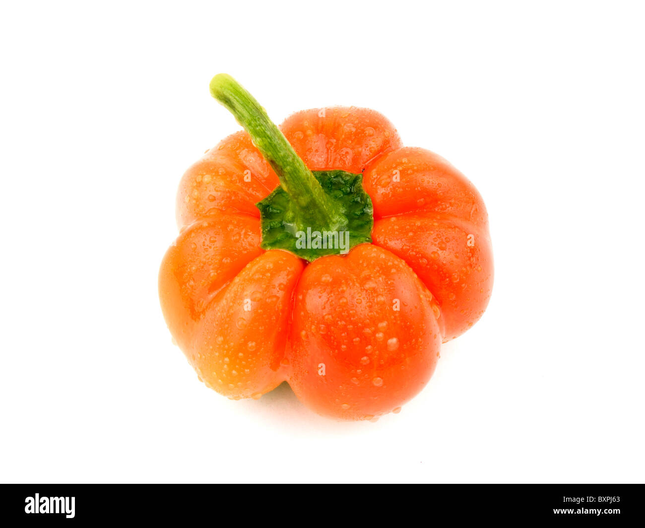 Tasty orange paprika on white background Stock Photo - Alamy
