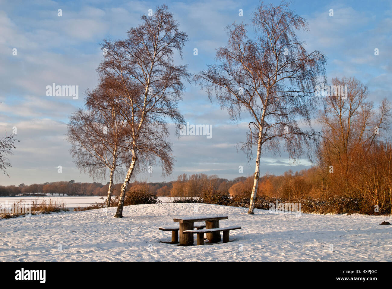 Park in peterborough hi-res stock photography and images - Alamy
