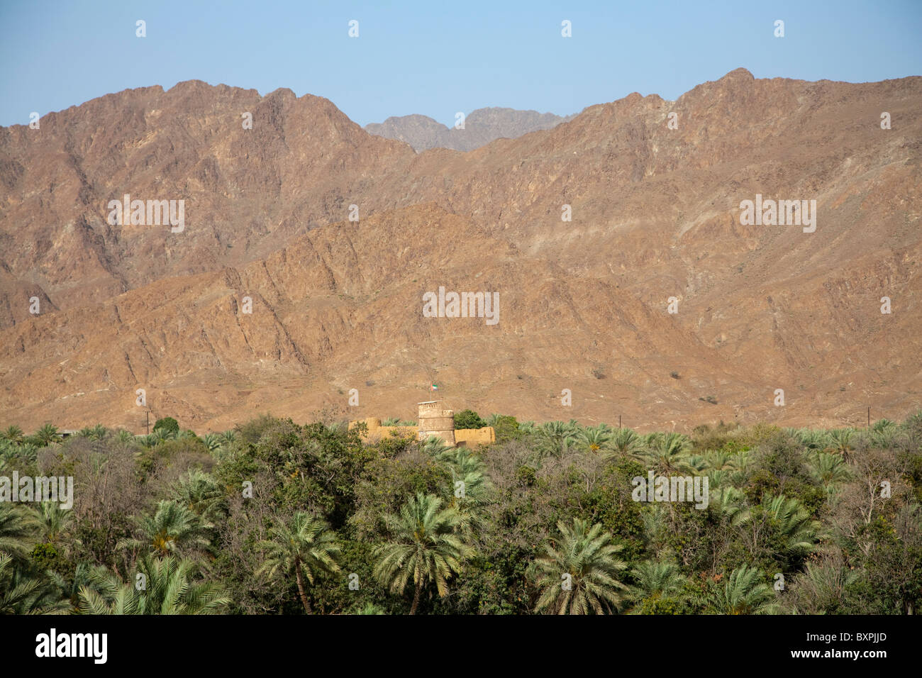 Oasis of Al Dhaid, Hajar Mountains, Sharjah, United Arab Emirates Stock ...