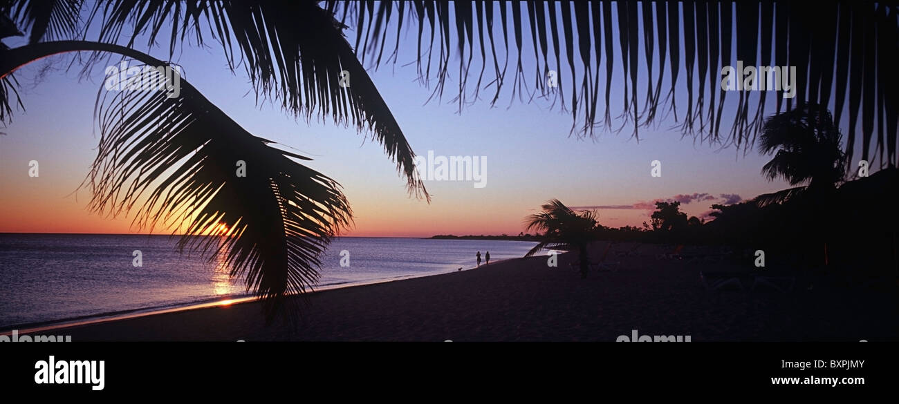 Leaf sunset beach hi-res stock photography and images - Alamy