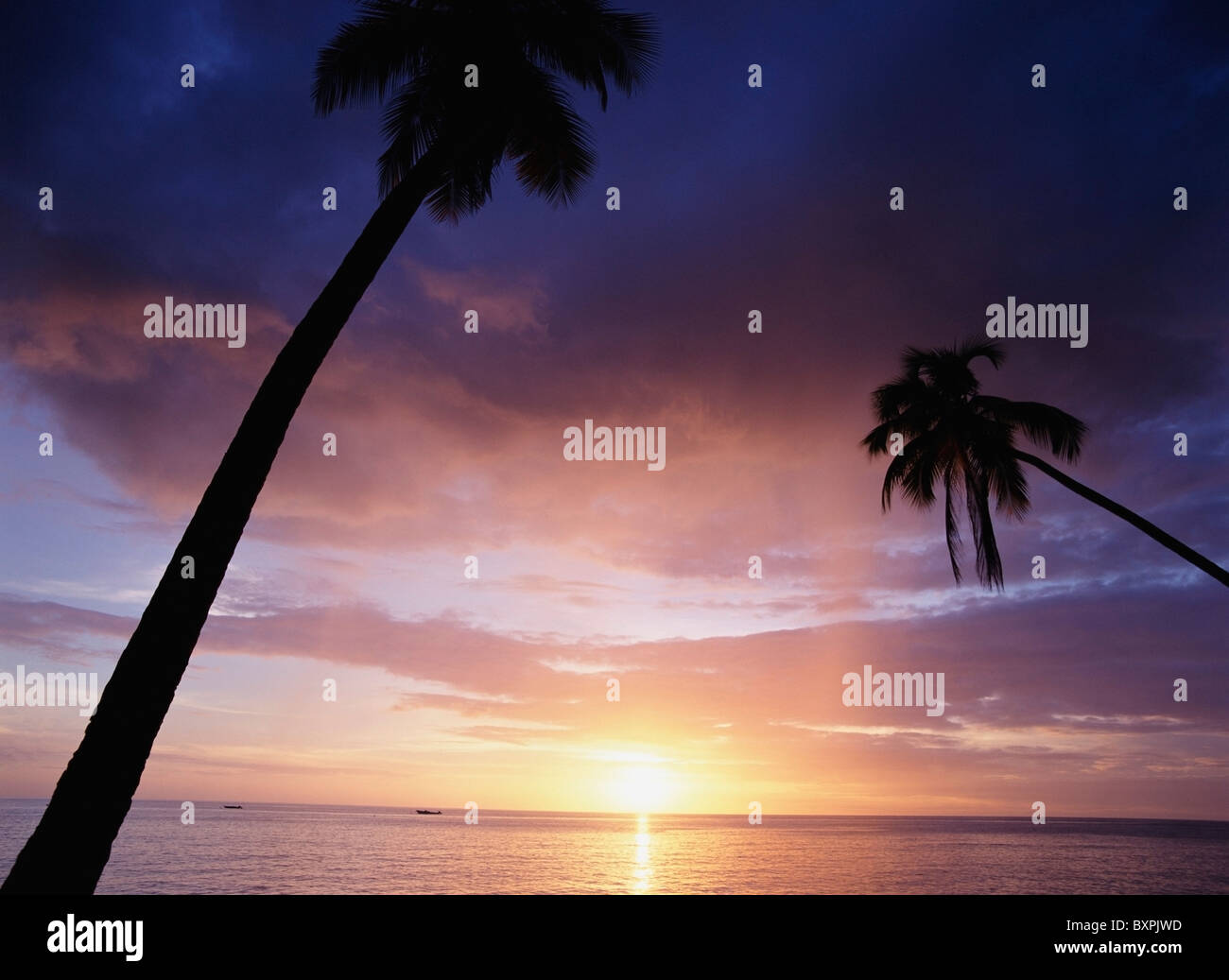 Beach sunset palm tree hi-res stock photography and images - Alamy