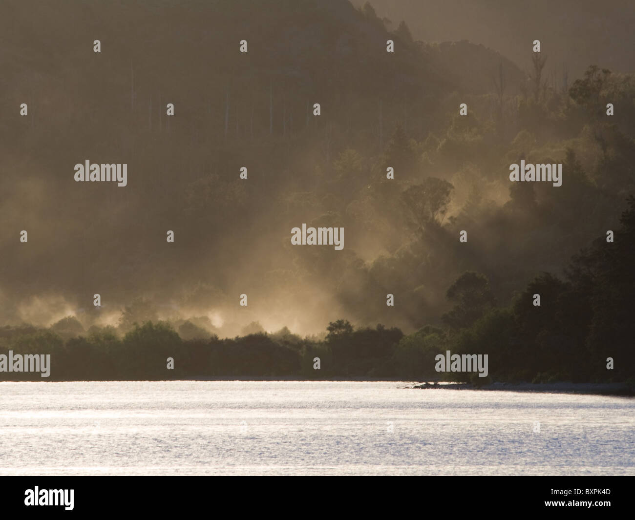 Mist rises from the forest hi-res stock photography and images - Alamy