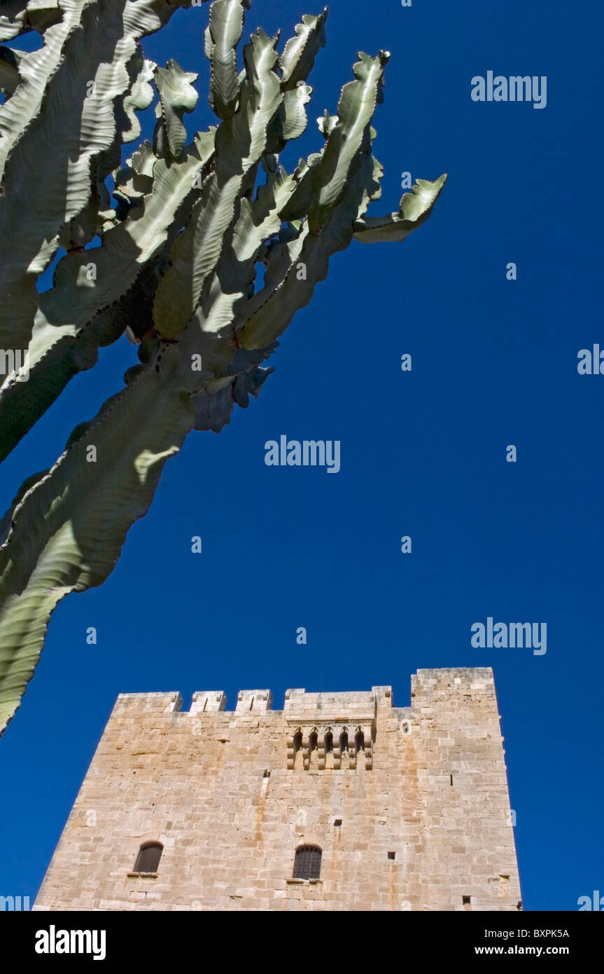 Kolossi castle and cactus hi-res stock photography and images - Alamy