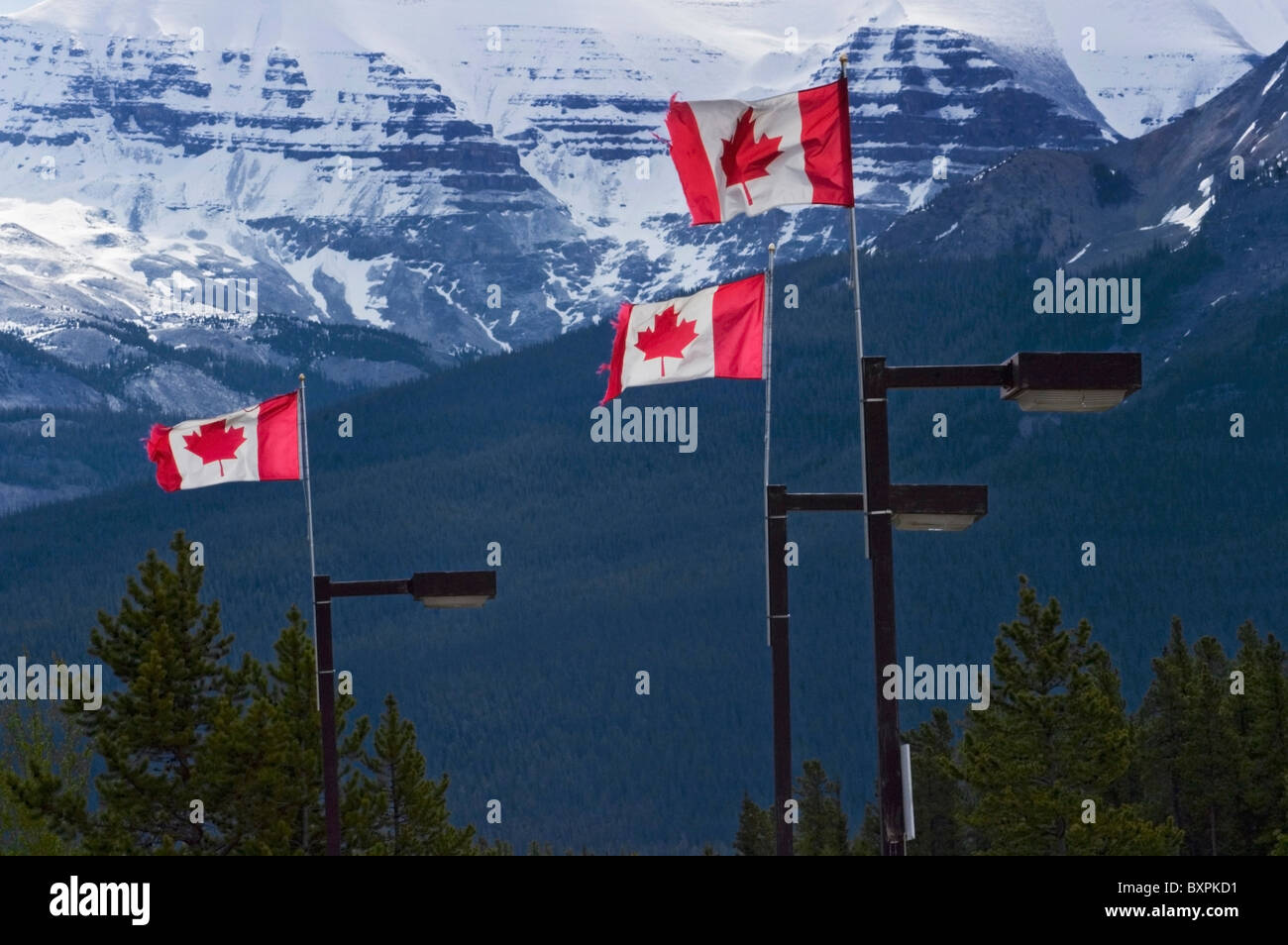 Canada flag flying rocky hi-res stock photography and images - Alamy