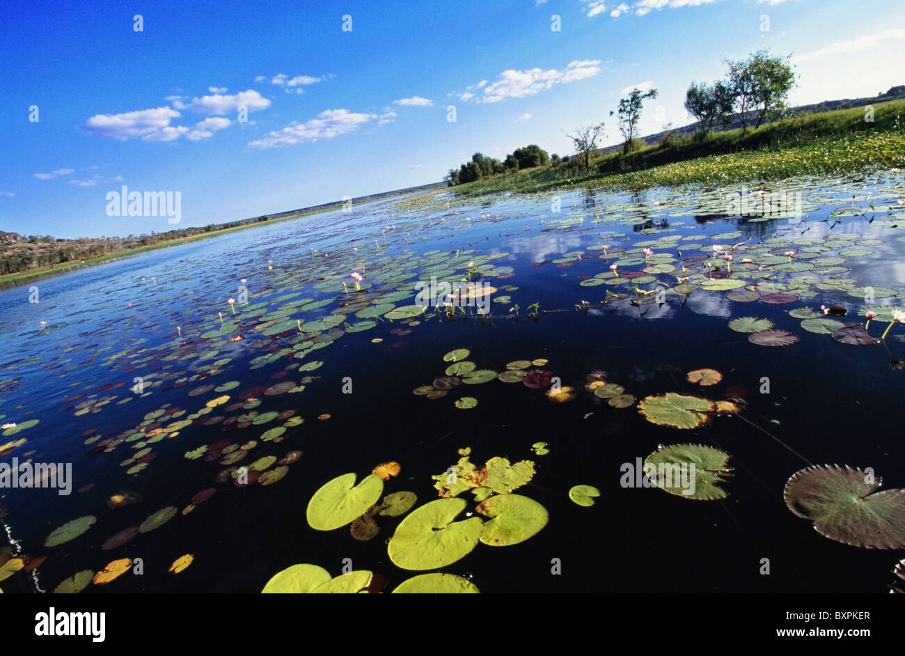 Australian billabong view hi-res stock photography and images - Alamy